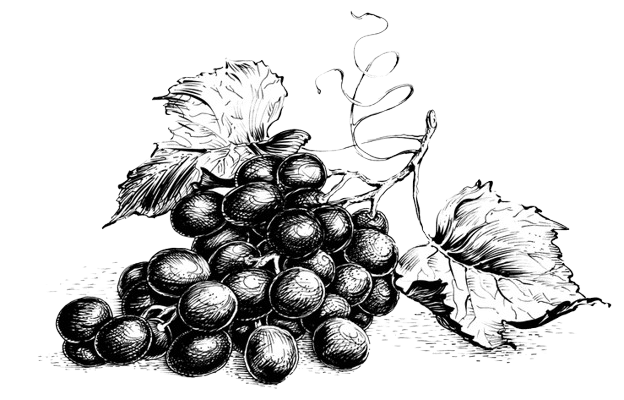 Bitter Grapes: How Do We Know What We Really Want? - The Eudaimoniac